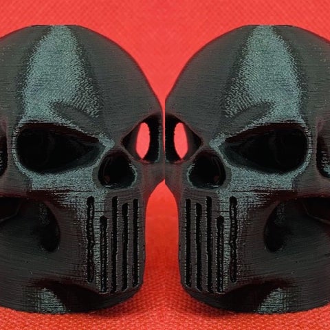 Hood Skulls | Twin Rigs of the Smokies